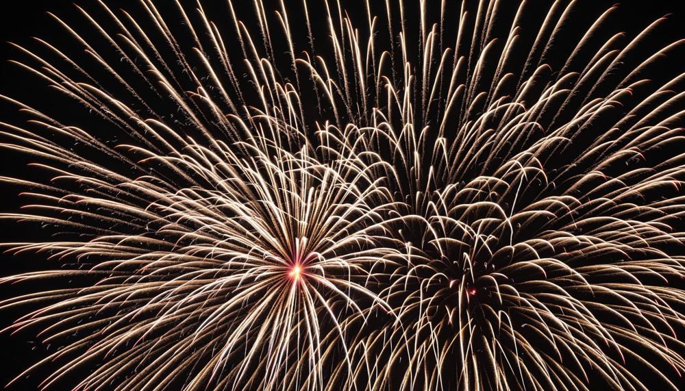 How To Dispose Of Unused Fireworks Properly - Dispose Cleverly